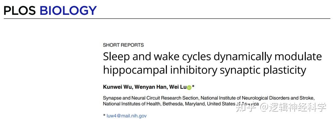 PLOS Biol︱陆伟团队发现睡眠-觉醒周期动态调节海马抑制性突触可塑性 - 知乎