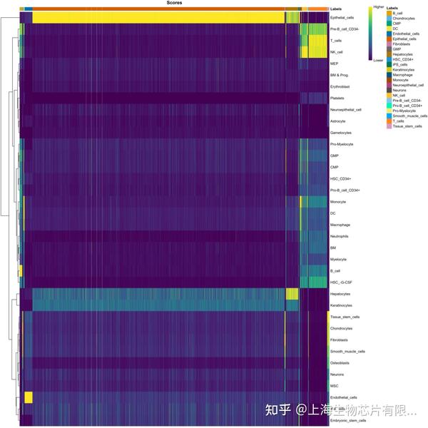 单细胞细胞注释详解之singleR细胞注释 - 知乎