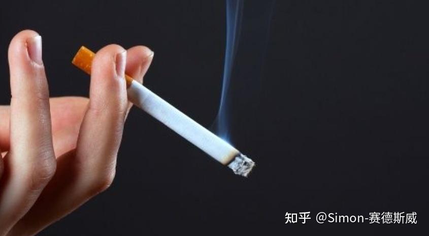 ASTM E1353软垫家具组成部件抗香烟点燃测试标准 - 知乎