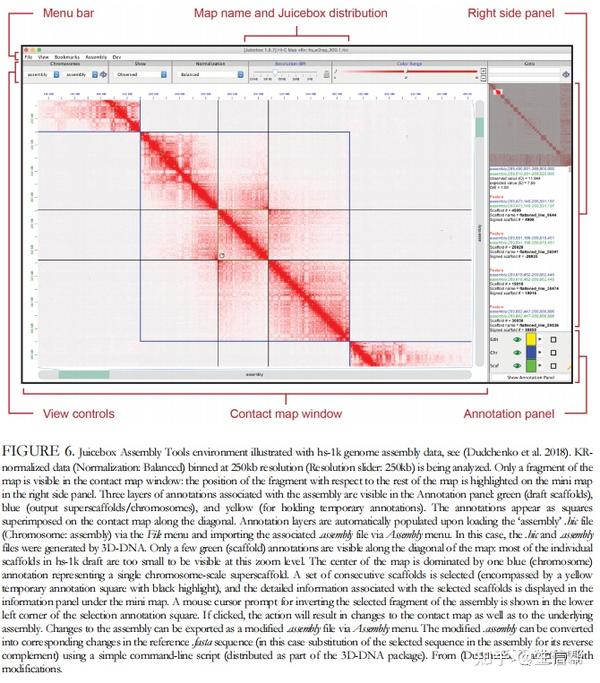 使用Juicebox进行人工调图 - 知乎
