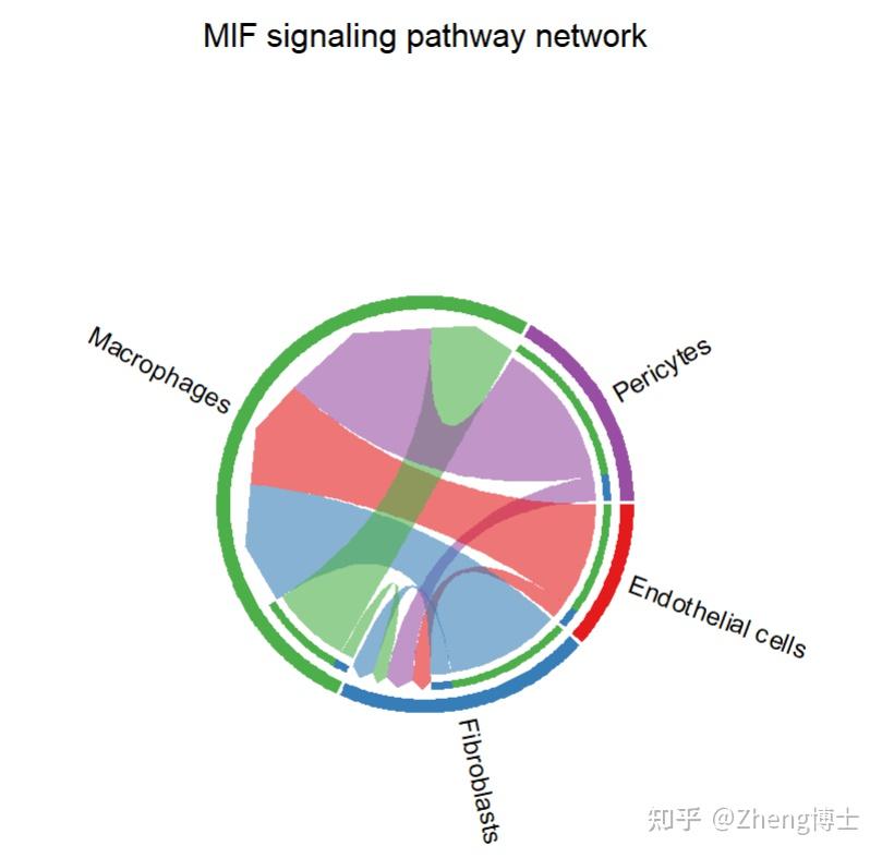 细胞通讯分析（单细胞测序）———CellChat（Homo、Mus） - 知乎
