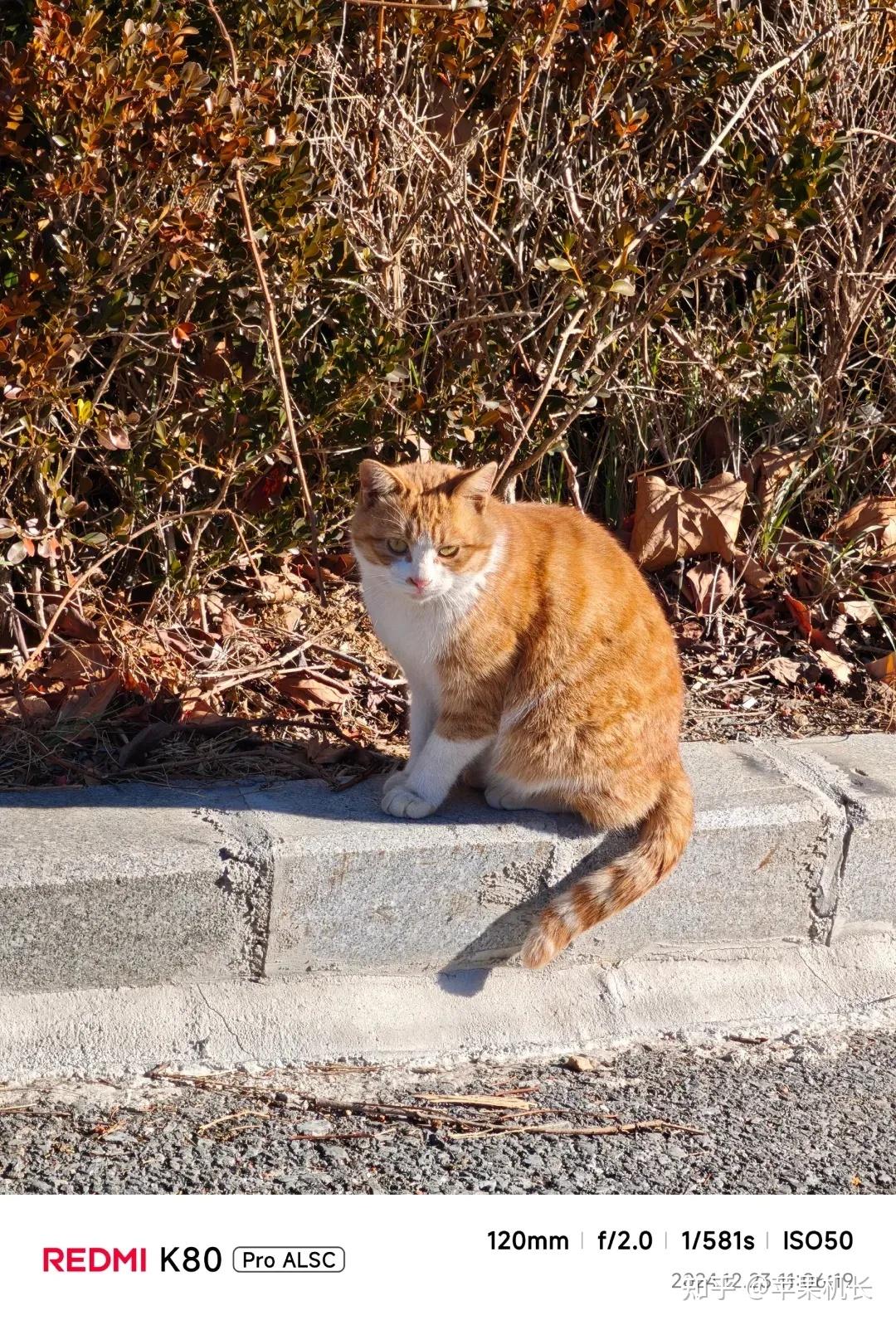 红米K80 Pro用了两个月，我发现了3个优点和2个缺点，买前看一下 - 知乎
