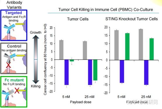 8.3亿美元！Mersana与德国默克达成ADC合作 - 知乎