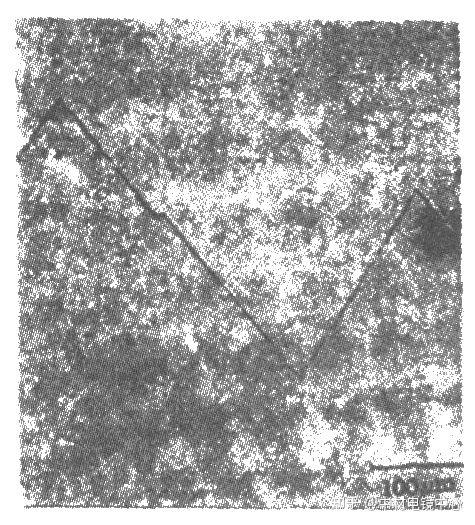 TEM（透射电镜）测试——纯晶体凝固结构（下） - 知乎