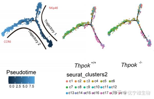 单细胞携手多色揭示THPOK调节ILCs谱系维持的机制 - 知乎