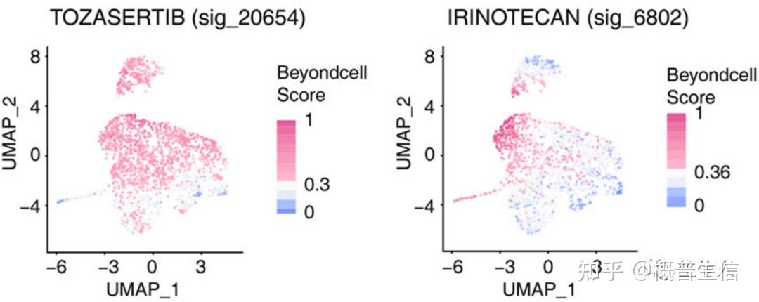 药物敏感性筛选，快来试试pRRophetic oncoPredict+细胞系实验+ Beyondcell - 知乎