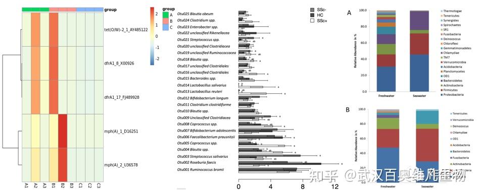 在线作图|在线做Metastats组间差异分析 - 知乎