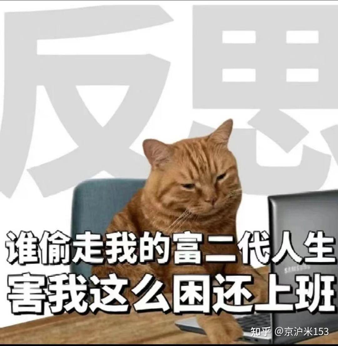 七八年不发工资、赔了一两百万:大专生、普通本科、一本大学生、211大学生、985大学生毕业年薪多少万、时薪多少钱、能赚几百万几千万吗? 知乎