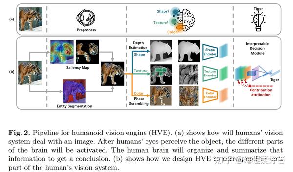 Contributions of Shape, Texture, and Color in Visual Recognition 整理 - 知乎