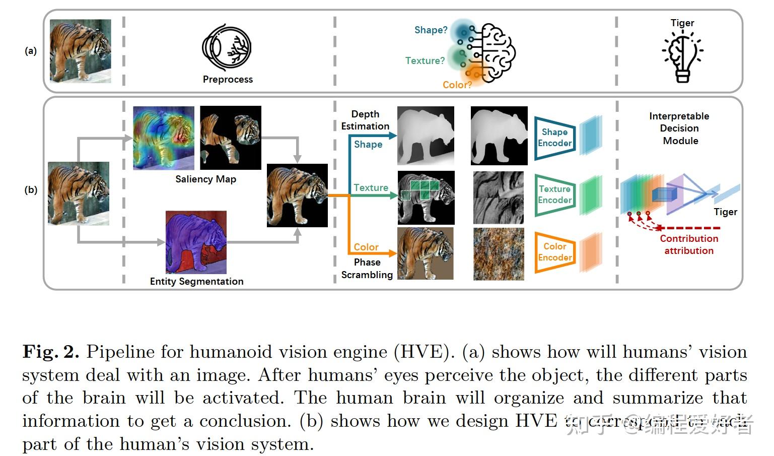 Contributions of Shape, Texture, and Color in Visual Recognition 整理 - 知乎
