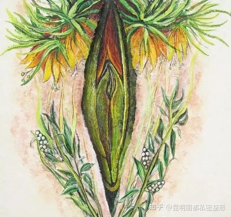 剃阴毛好不好？要不要剃阴毛的答案来了！ 知乎