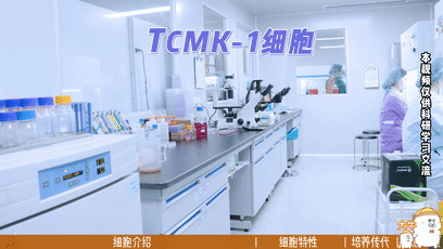 TCMK-1细胞培养，小鼠肾上皮细胞培养攻略 - 丰晖生物 - 知乎