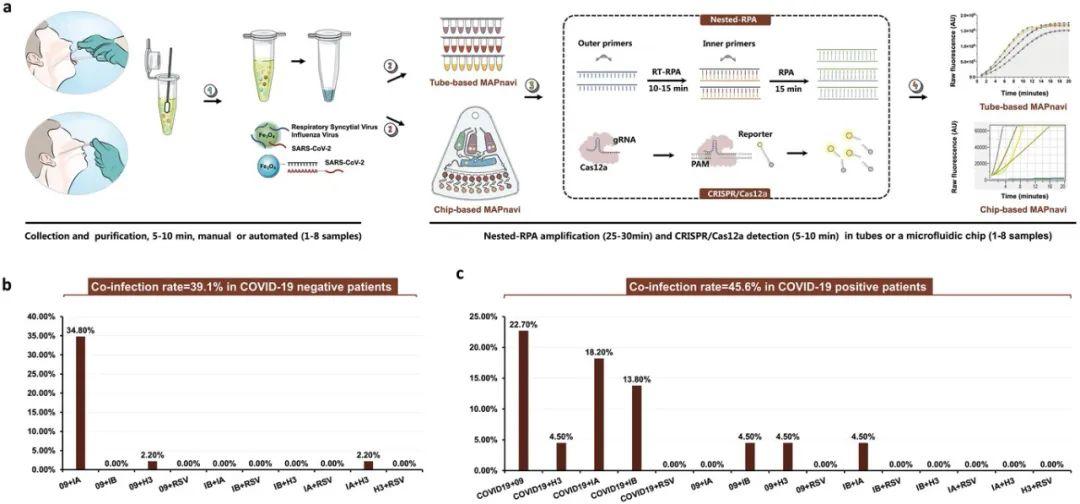 【文献】一种RPA+CRISPR/Cas12a离心微流控核酸检测系统 - 知乎