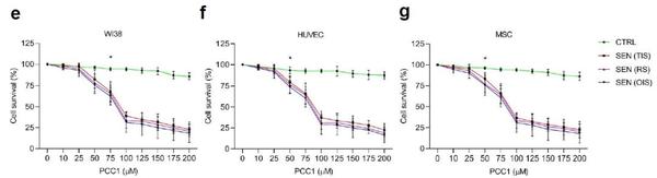 Nature子刊重磅：延寿64.2%！史上最强天然衰老细胞清除剂被发现 - 知乎