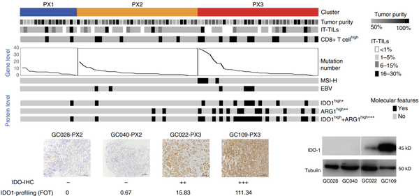 “胃来可期”丨多组学在胃癌精准诊疗中的研究进展 - 知乎