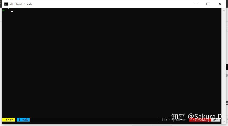 zsh配置与代码自动补全+tmux配置 - 知乎
