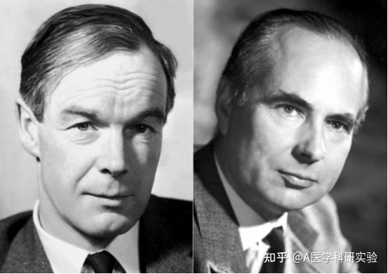 膜片钳技术 - 知乎