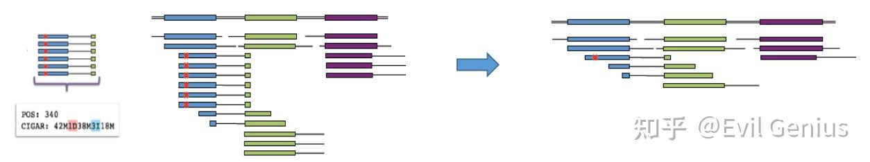深入梳理snp-calling流程 - 知乎