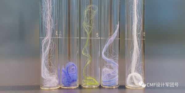 灵蛛科技丨揭开蛛丝蛋白仿生材料的缤纷世界！ - 知乎