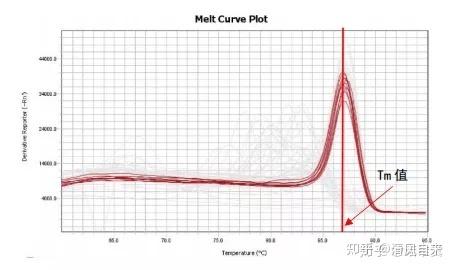 技能学习——Qpcr结果分析（原理和溶解曲线） - 知乎