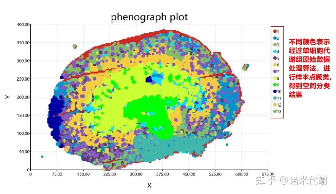 一张图带你了解高分辨率空间代谢组学结题报告——质谱成像与空间分型篇 - 知乎