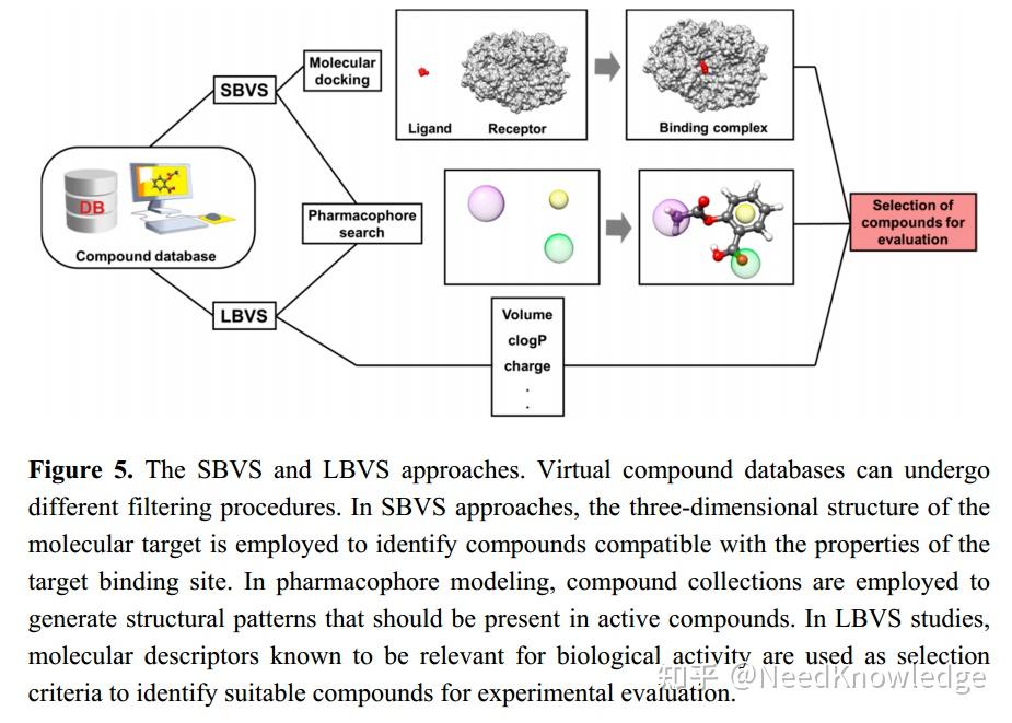 Molecular Docking and Structure-Based Drug Design Strategies - 知乎