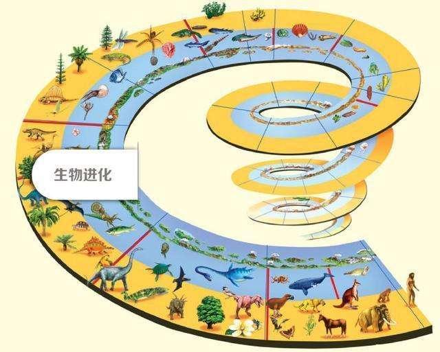 生物自然进化速度是在渐渐变快还是没什么变化，为什么？ 知乎