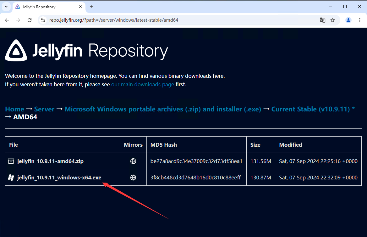 无公网IP 外网访问可 Jellyfin 播放器 - 知乎