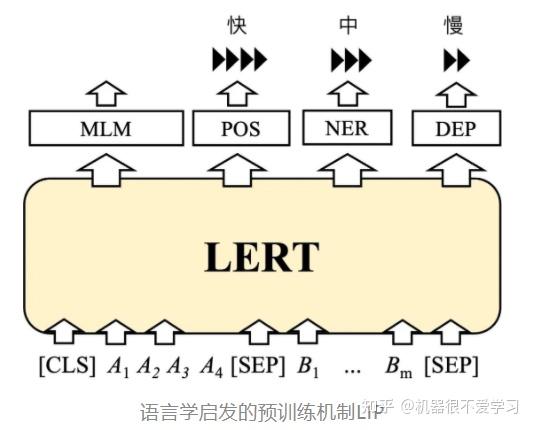 LERT-融入语言学特征的BERT - 知乎