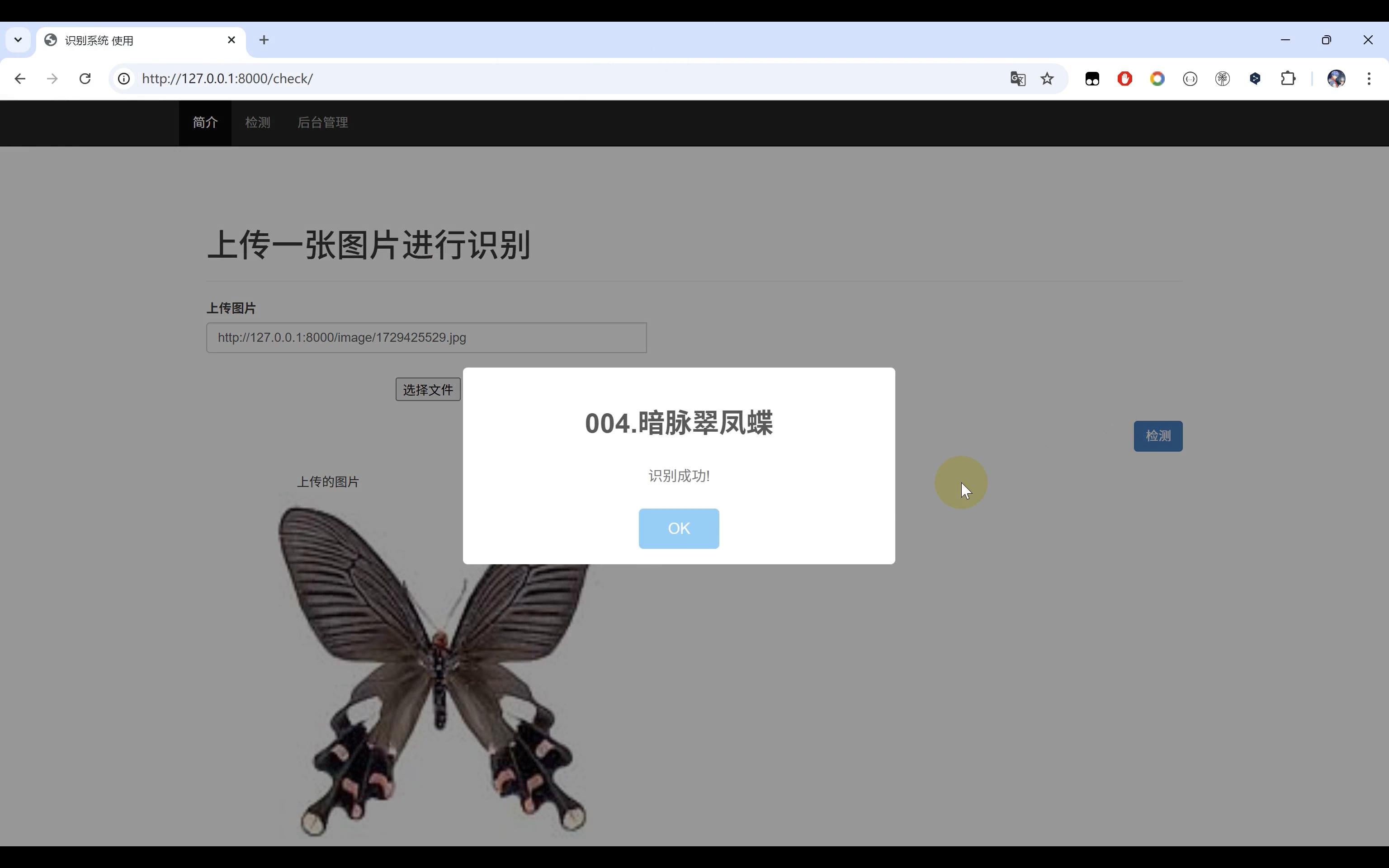 【蝴蝶识别】Python+卷积神经网络算法+人工智能+深度学习+计算机课设项目+图像识别+算法模型 - 知乎