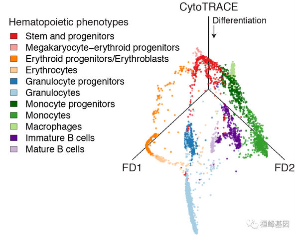 SCS【12】单细胞转录组之评估不同单细胞亚群的分化潜能 (Cytotrace) - 知乎