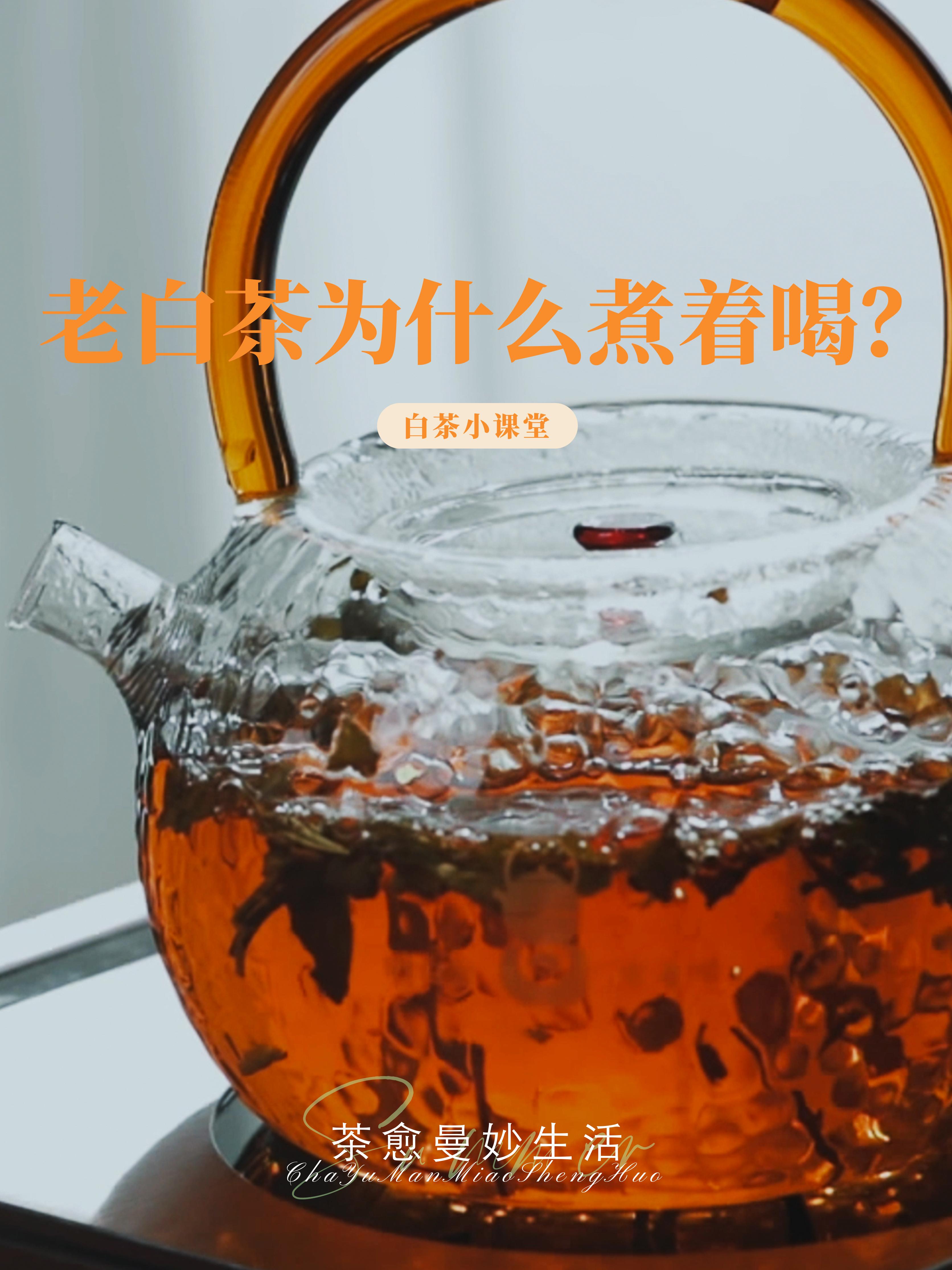 白茶小课堂之老白茶为什么煮着喝? 知乎