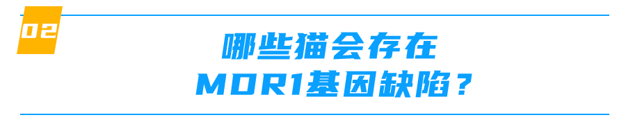 MDR1基因缺陷｜为什么有的猫驱虫后呼吸困难？ - 知乎