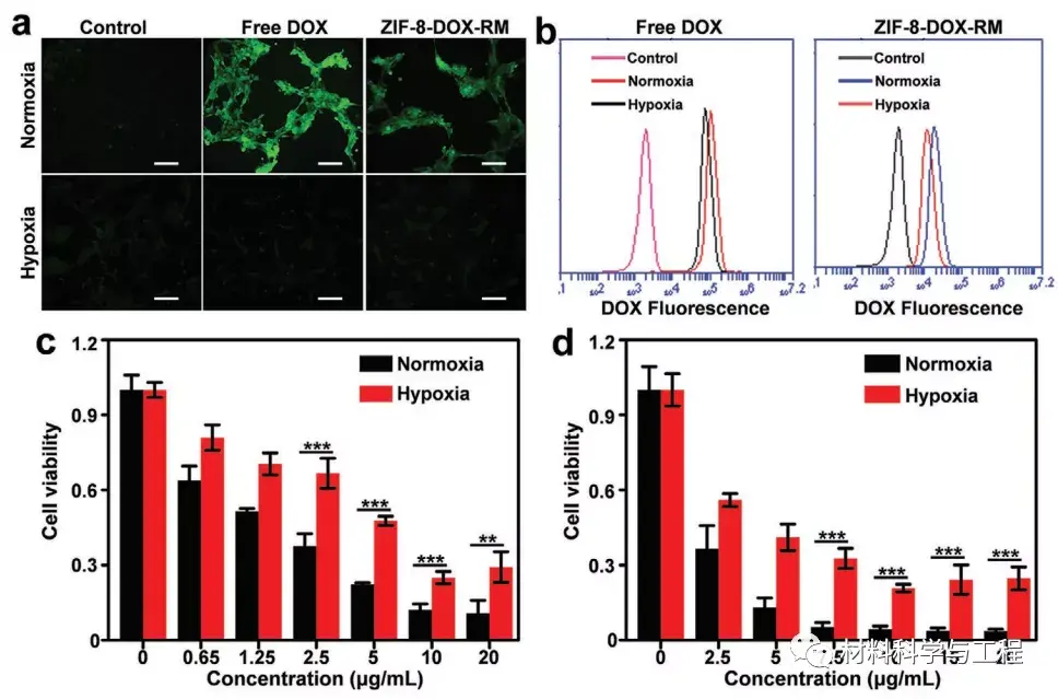 西电《AFM》：一种仿生MOF纳米微球，为肿瘤化疗开辟新途径！ - 知乎