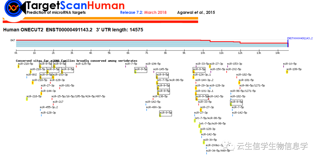 一个在线预测miRNA靶基因的工具——targetscan - 知乎