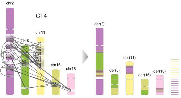 Hi-C：三维表观基因组学揭示DNA-DNA相互作用 - 知乎