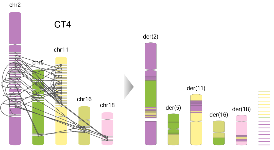 Hi-C：三维表观基因组学揭示DNA-DNA相互作用 - 知乎