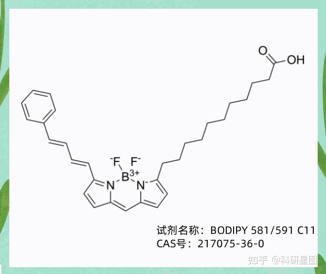 CAS号：217075-36-0，BODIPY 581/591 C11是一种脂溶性的比率型荧光探针 - 知乎