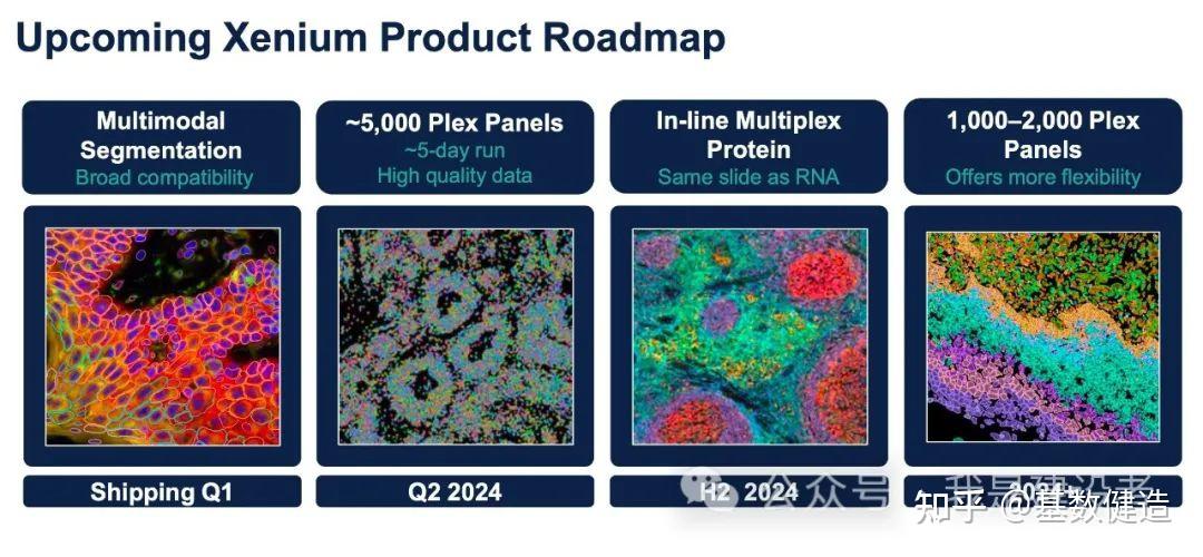 10x Genomics终于推出新的 Visium HD 平台！ - 知乎
