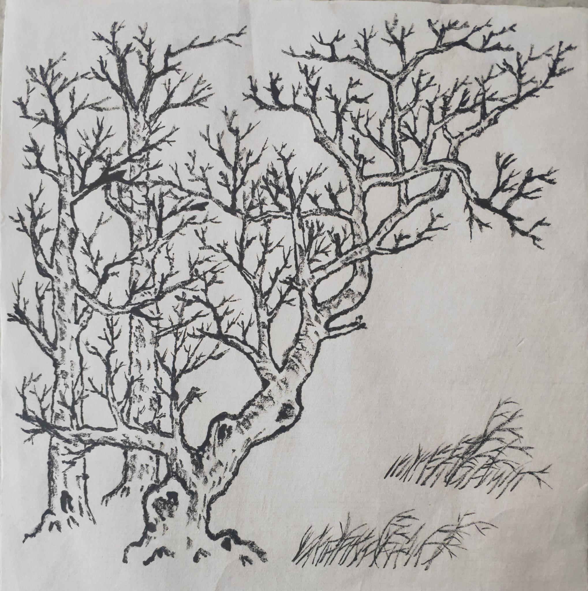 星期五作业 - 知乎