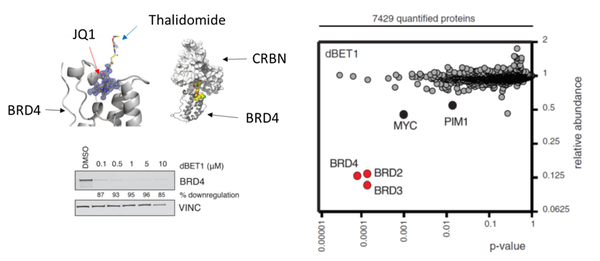 靶向蛋白降解 (TPD) 一站式服务平台 - 知乎