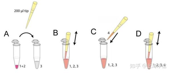 ibidi细胞趋化实验|可视化的Transwell细胞趋化实验原理+操作步骤 - 知乎