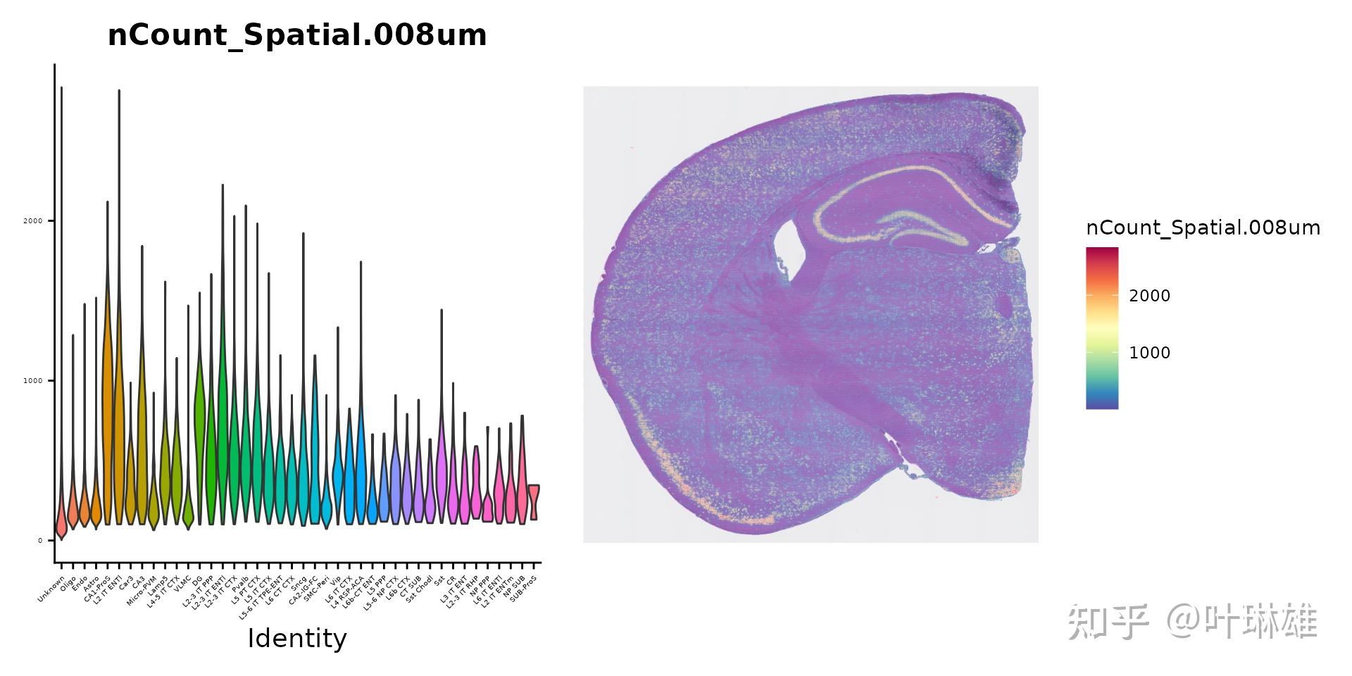 Visium HD 空间数据集与 Seurat 的分析、可视化和集成 - 知乎