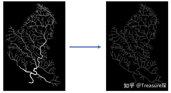 ImageJ实用教程——骨架化分析(定量分析篇) - 知乎