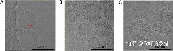 脂膜分析：不只有包封率和粒径，LNP结构的深入表征 - 知乎