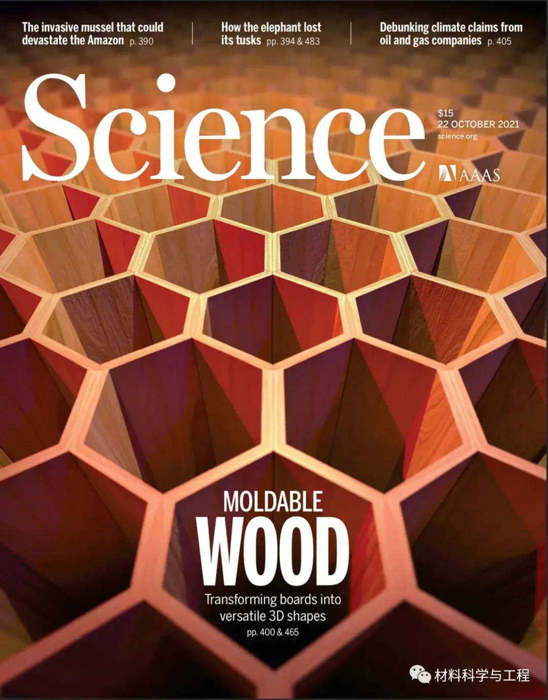 “木头大王”胡良兵《Science》封面！一种可媲美铝合金的木头 - 知乎