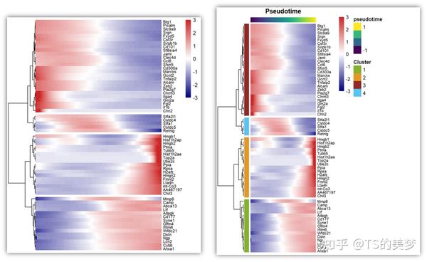 ggplot修饰monocle2拟时热图：一众问题全部解决 - 知乎