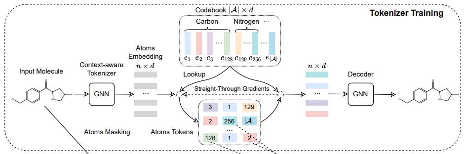 ICLR2023—Mole-BERT: Rethinking Pre-training Graph Neural Networks for ...