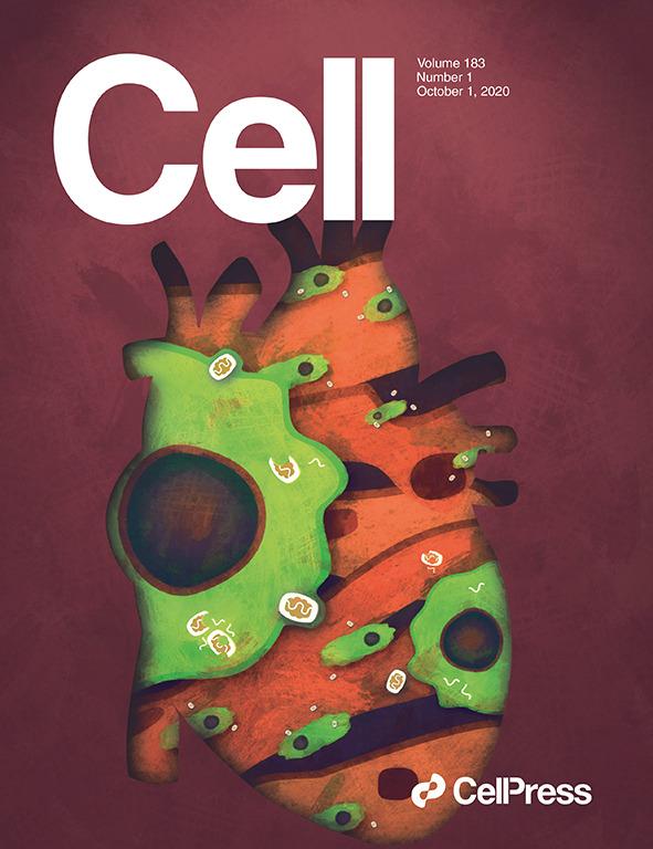 科学与艺术的结合！《CELL》100+张期刊封面鉴赏｜2020年篇 - 知乎