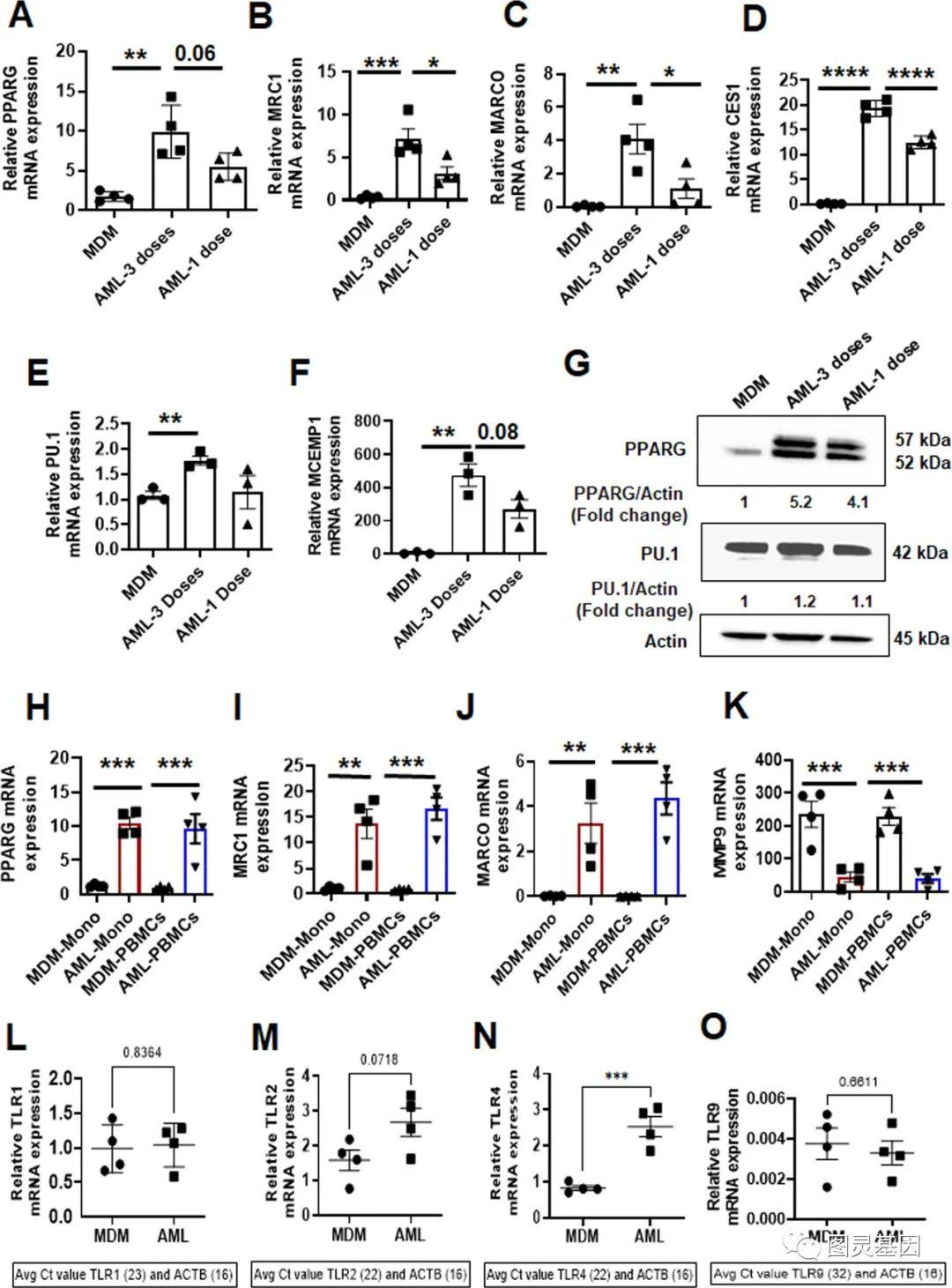 mBio｜模拟肺泡环境的巨噬细胞培养模型研究呼吸系统疾病 - 知乎